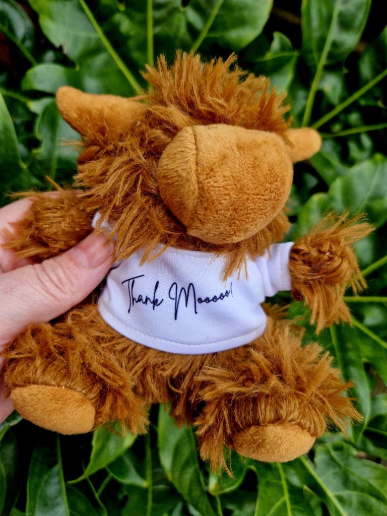 Highland Cow Keyring - Personalised - Hug Box Personalised Gift Ideas