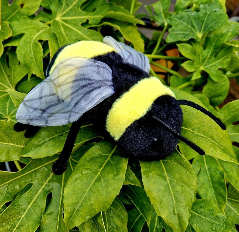 Bee Soft Toy Hug Box -Bee Lovers Gift - Hug Box Personalised Gift Ideas