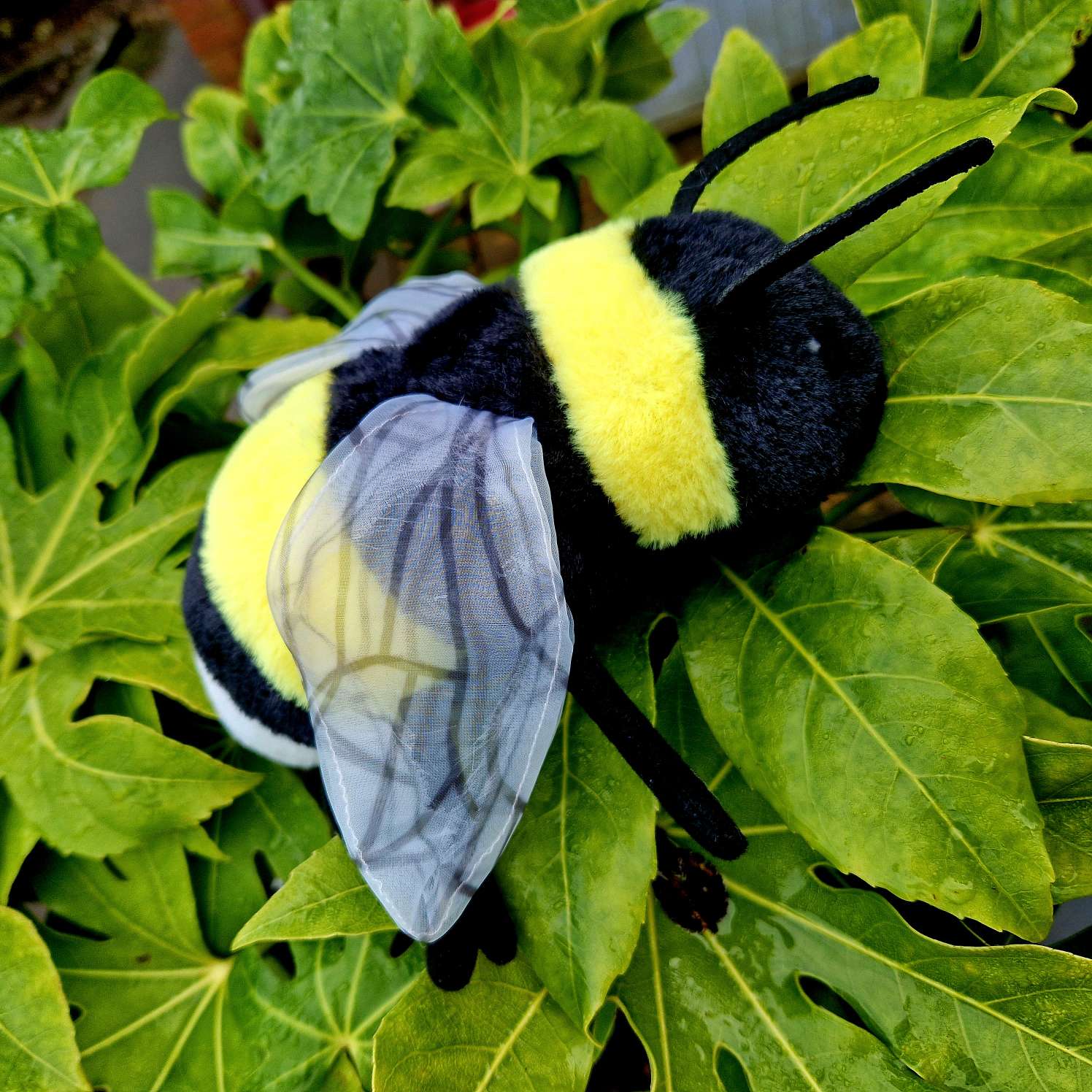 Bee Soft Toy Hug Box -Bee Lovers Gift - Hug Box Personalised Gift Ideas